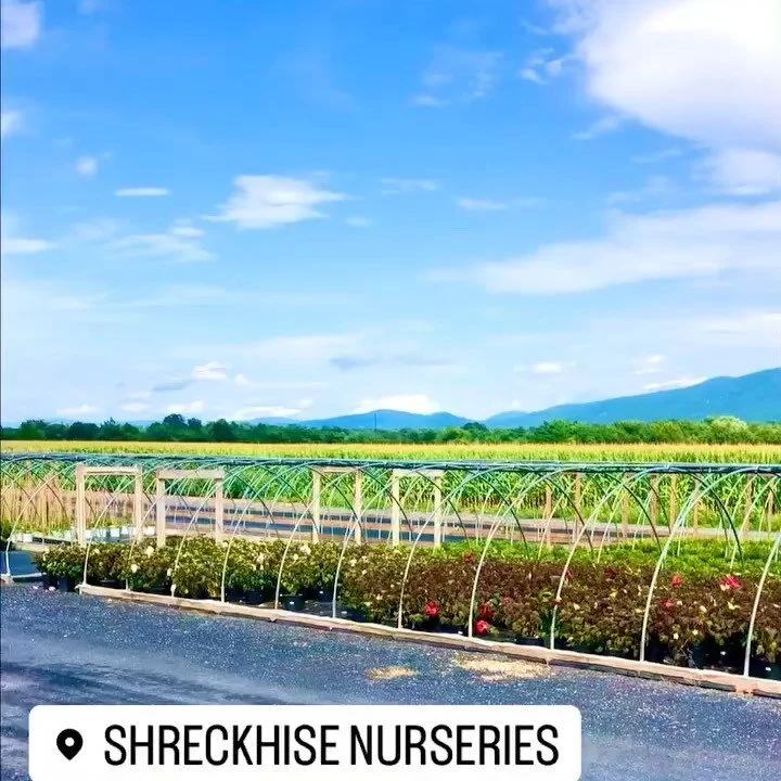 Shreckhise Nurseries
