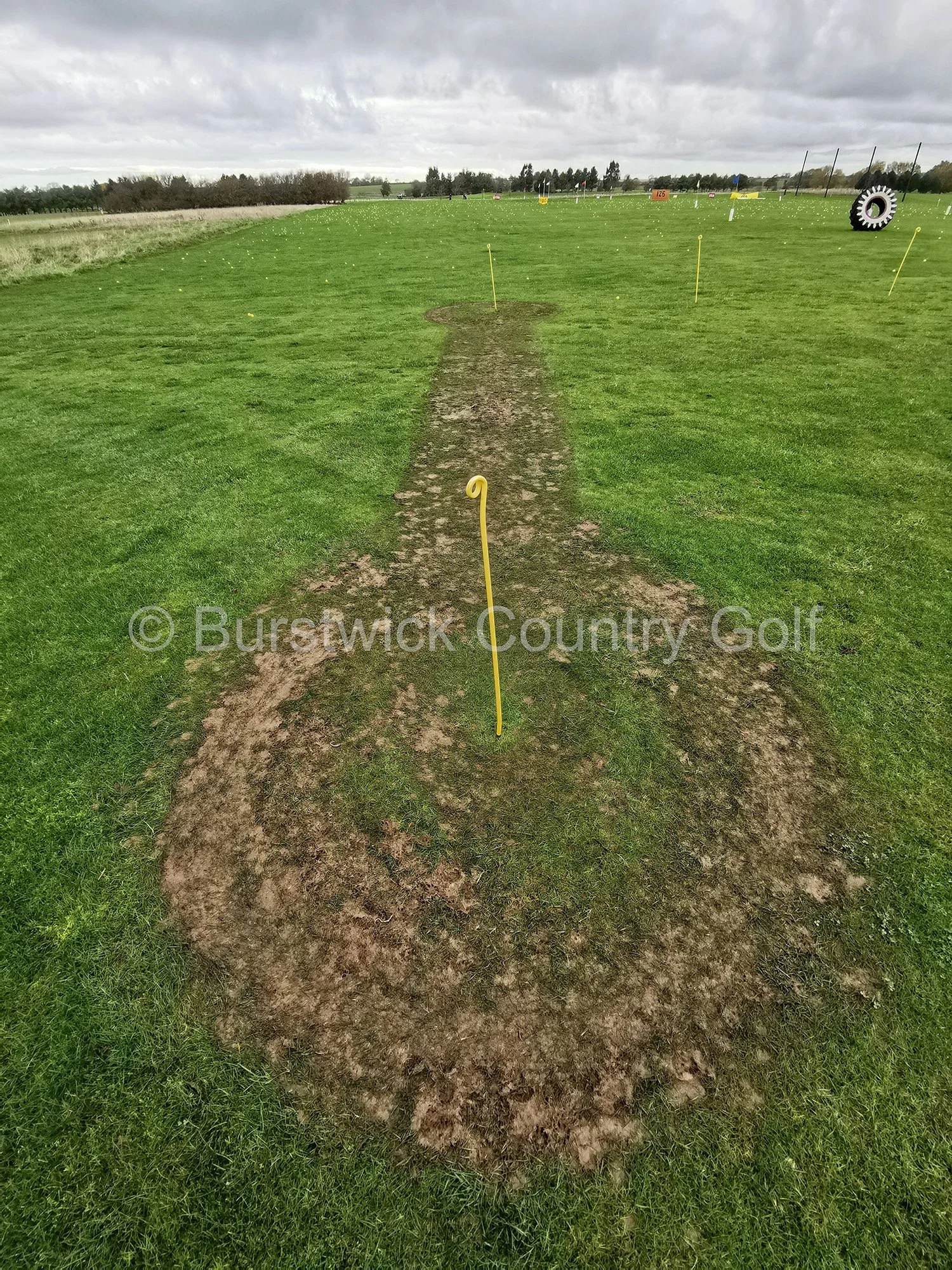Trolley Experiment underway at Burstwick — Burstwick Country Golf ...