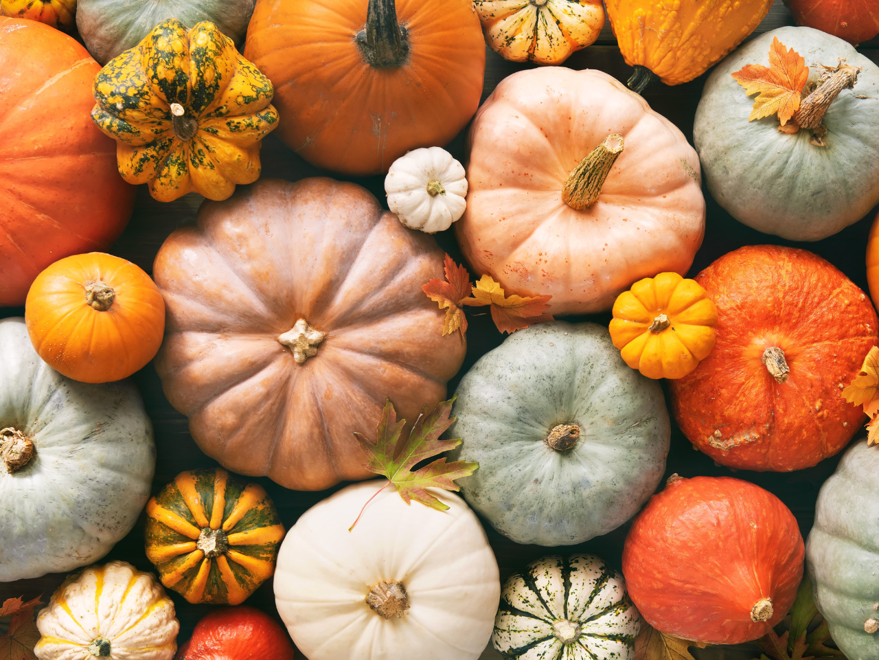 Seasonal Branding: Fall Photography Hacks for Businesses — Mark ...