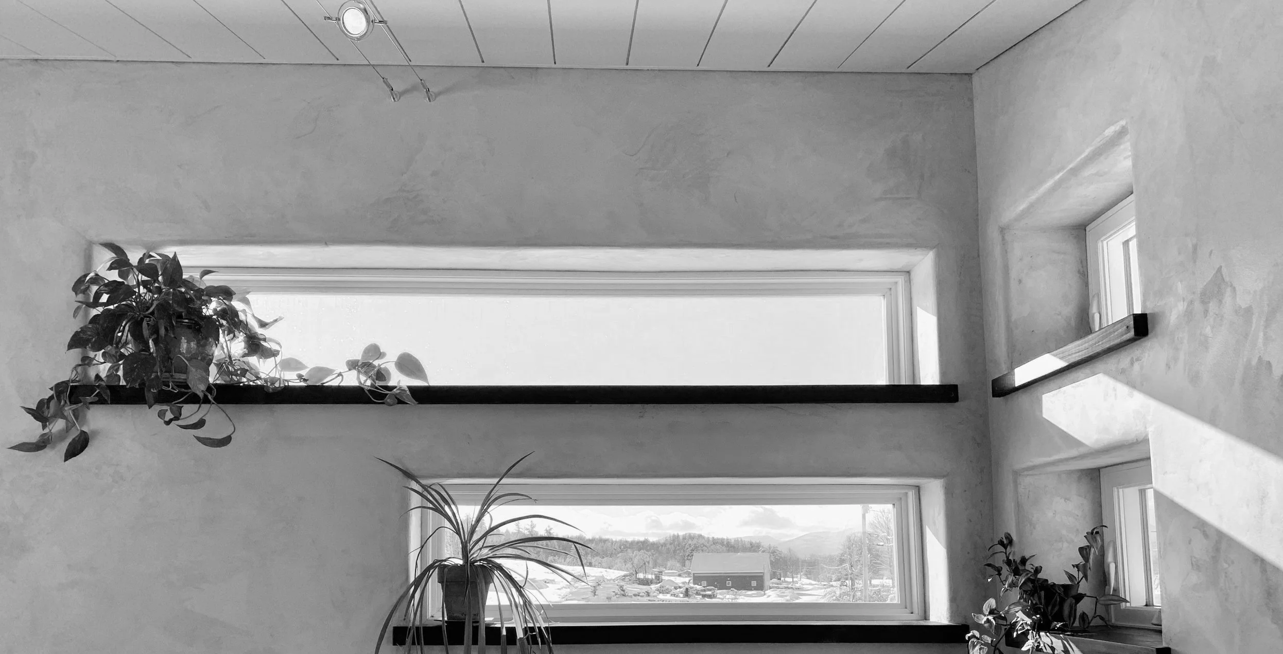 Understory Design Build