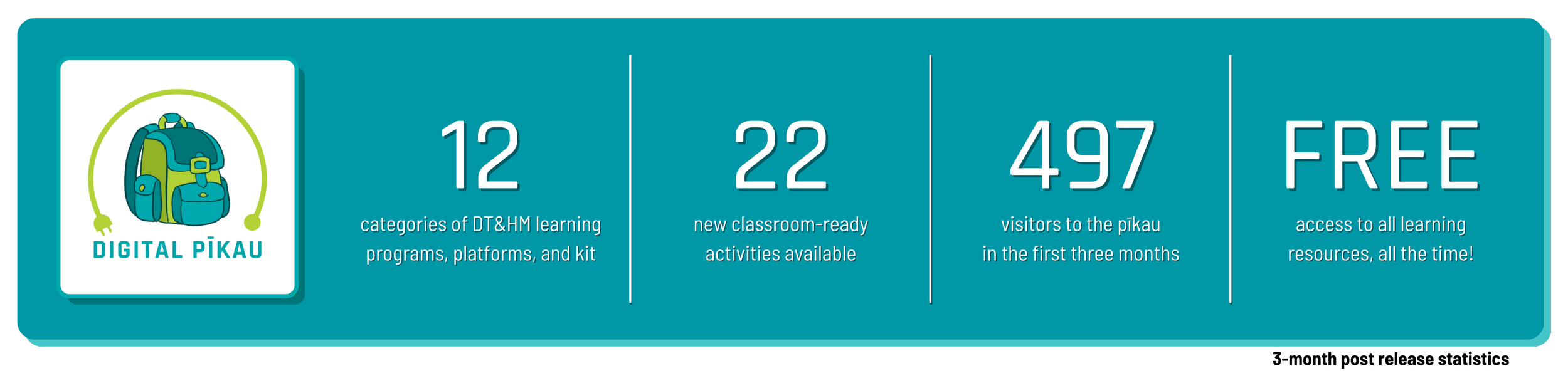 What We Do — Digital Future Aotearoa