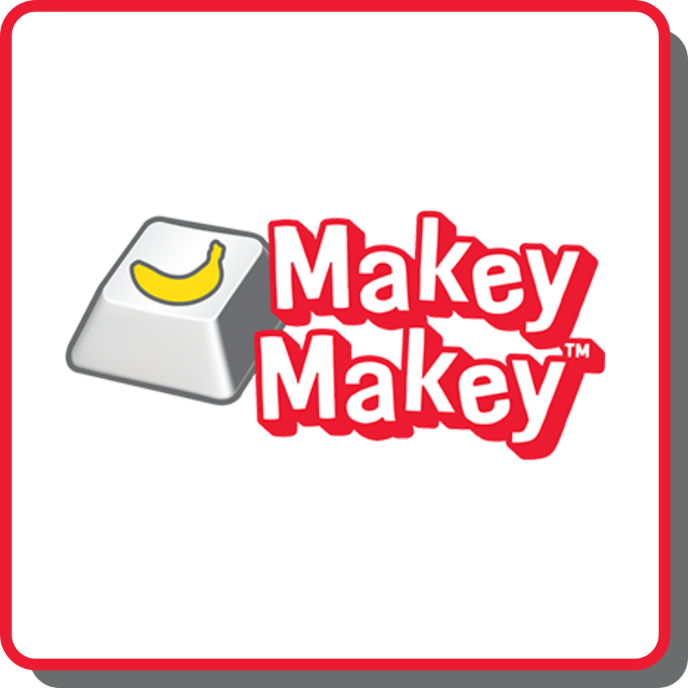 Digital Pīkau — Digital Future Aotearoa