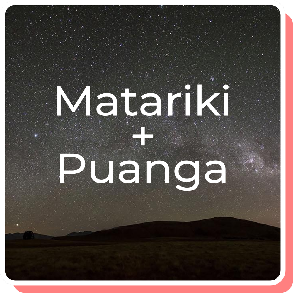 Matariki & Puanga Resources — Digital Future Aotearoa