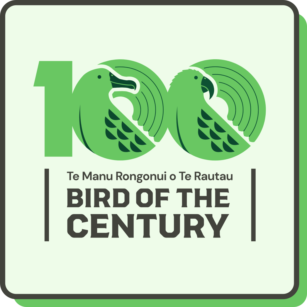Bird of the Year Resources — Digital Future Aotearoa