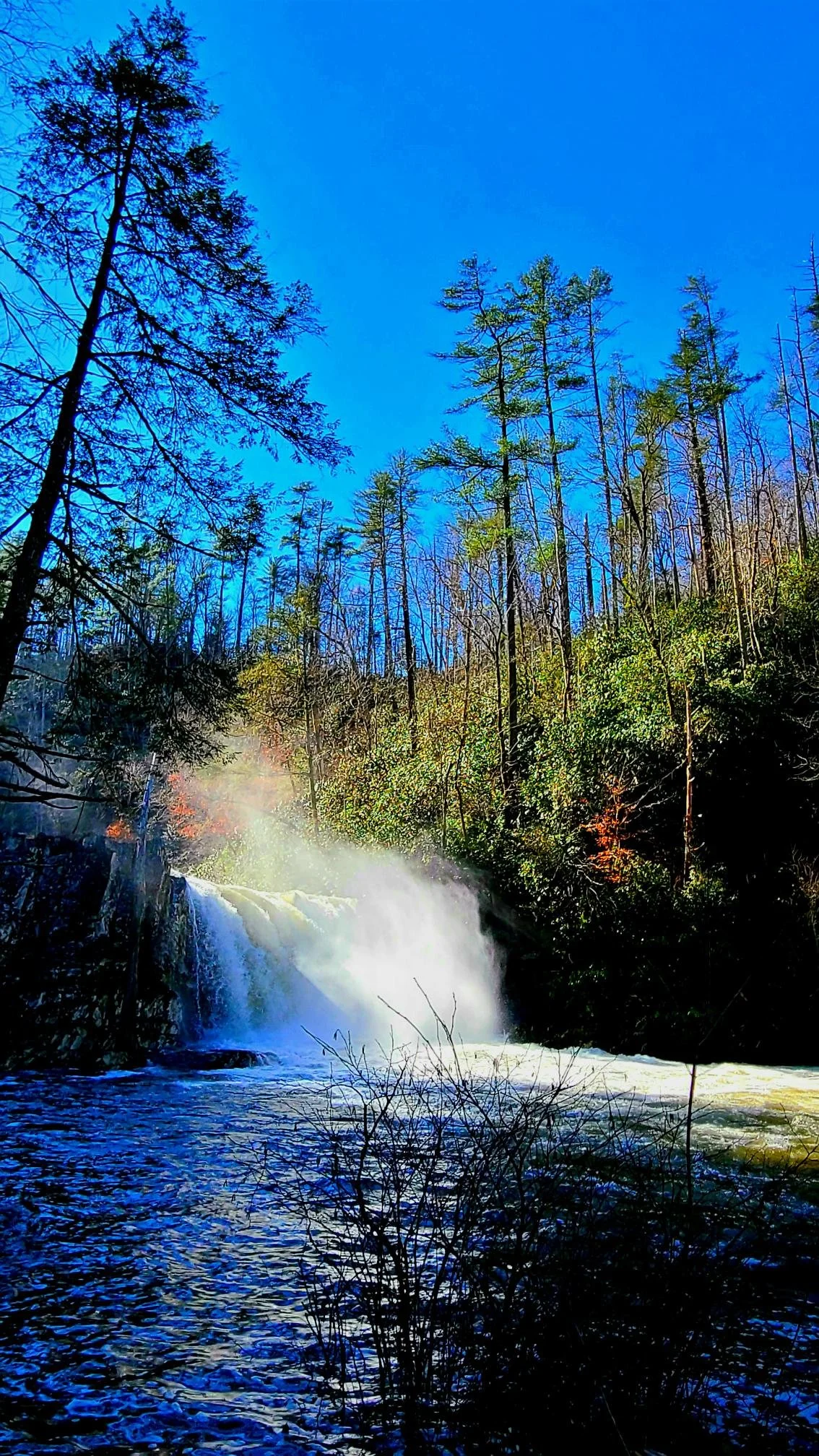 FREE Wallpapers — Steve Madden Gallery