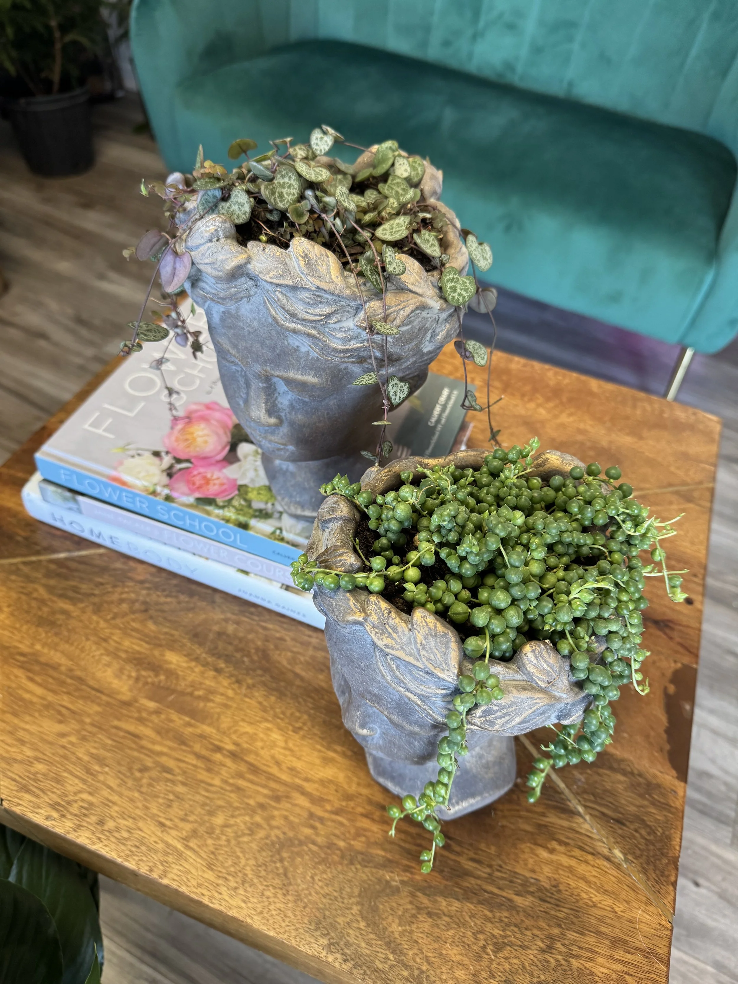 Shop — Blossoms On Battlefield