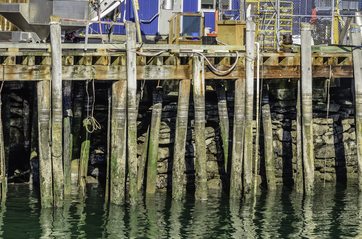 Guided Walking Tour Portland Maine History — Portland by the Foot