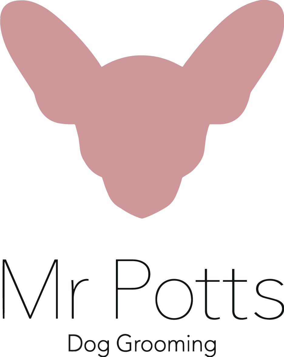 Mr Potts | Dog Grooming