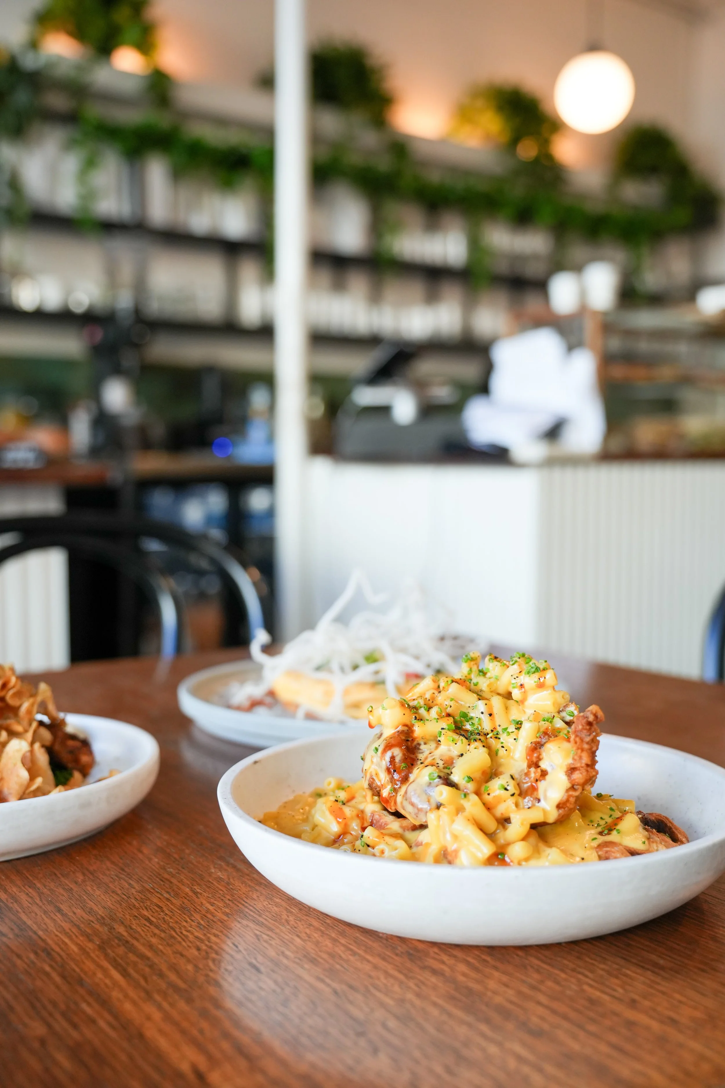 menu of arcadia cafe on gertrude st fitzroy — arcadia cafe on gertrude st