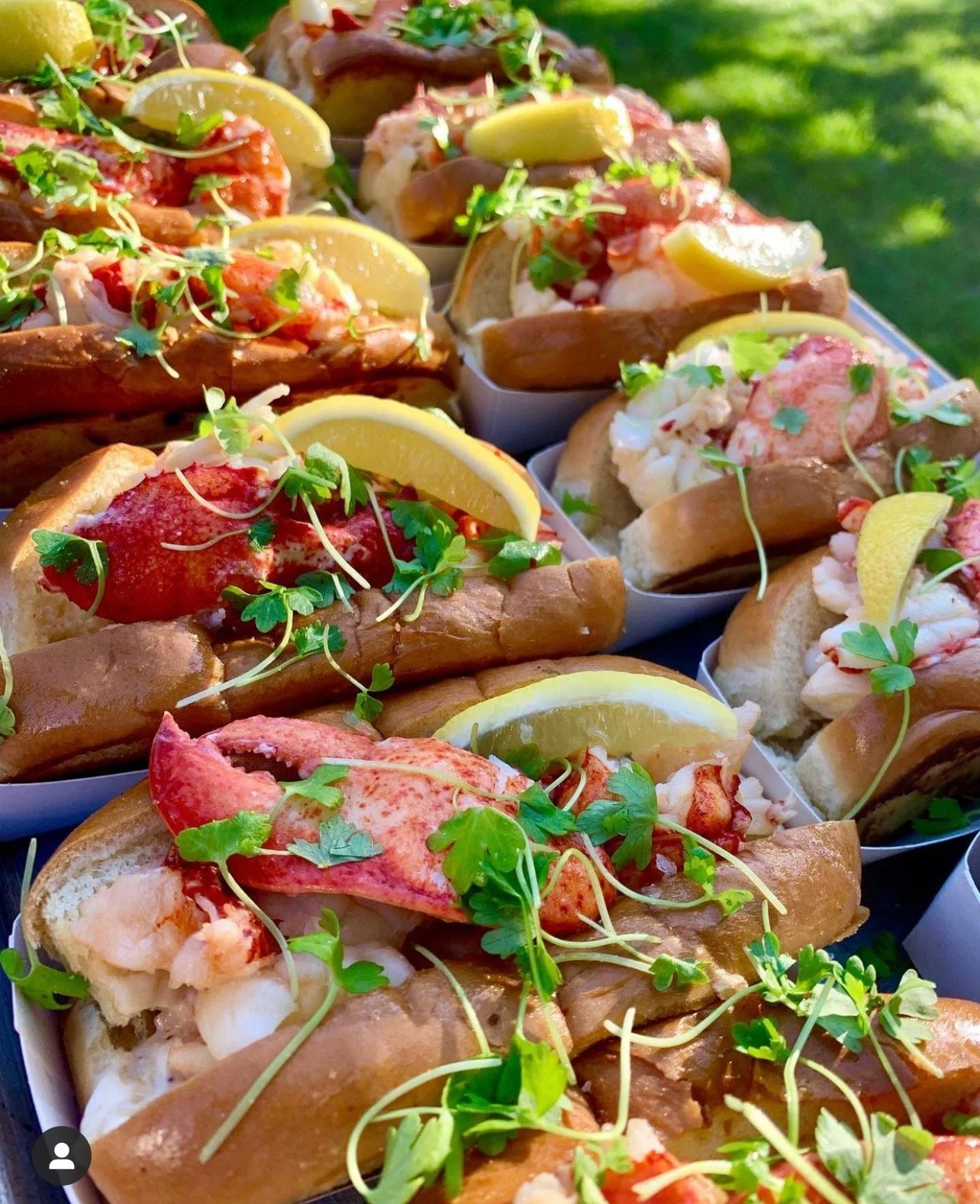 Menu — Knot Norm's