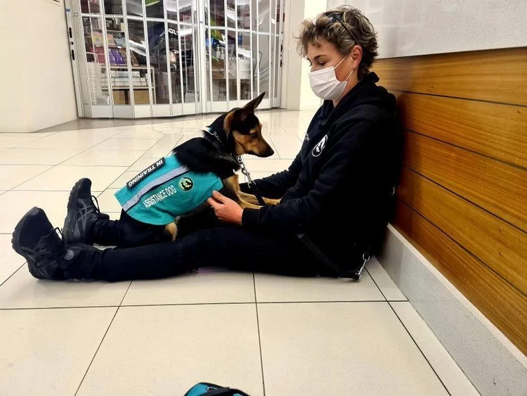 Paws For Assistance Dog Training