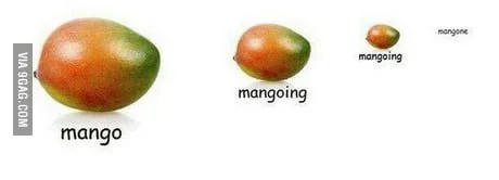 Mango, mangoing, mangone! — olivia.the.cool.cat 🐈