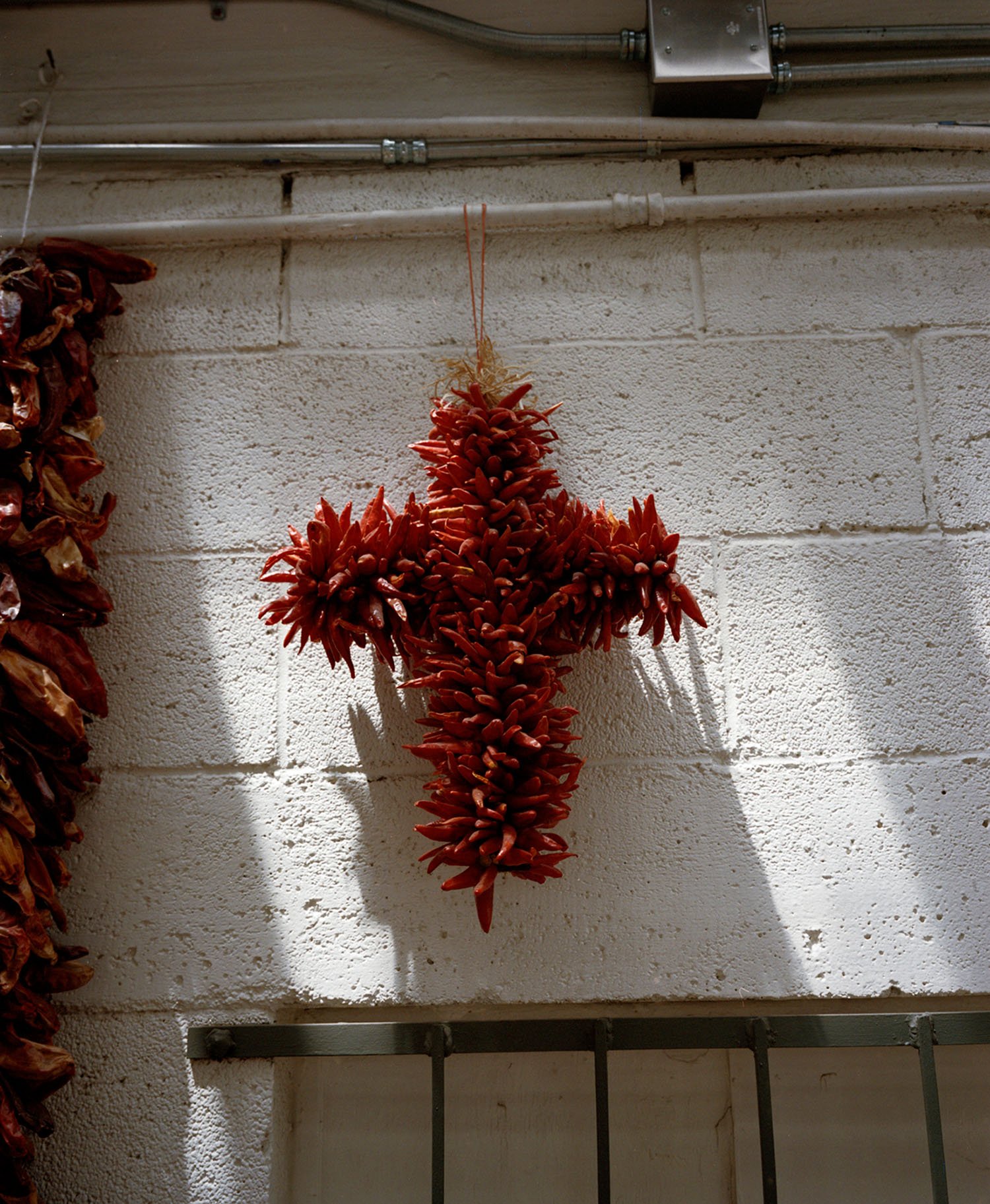 When Flies Sit Still by Morganne Boulden — WÜL Magazine