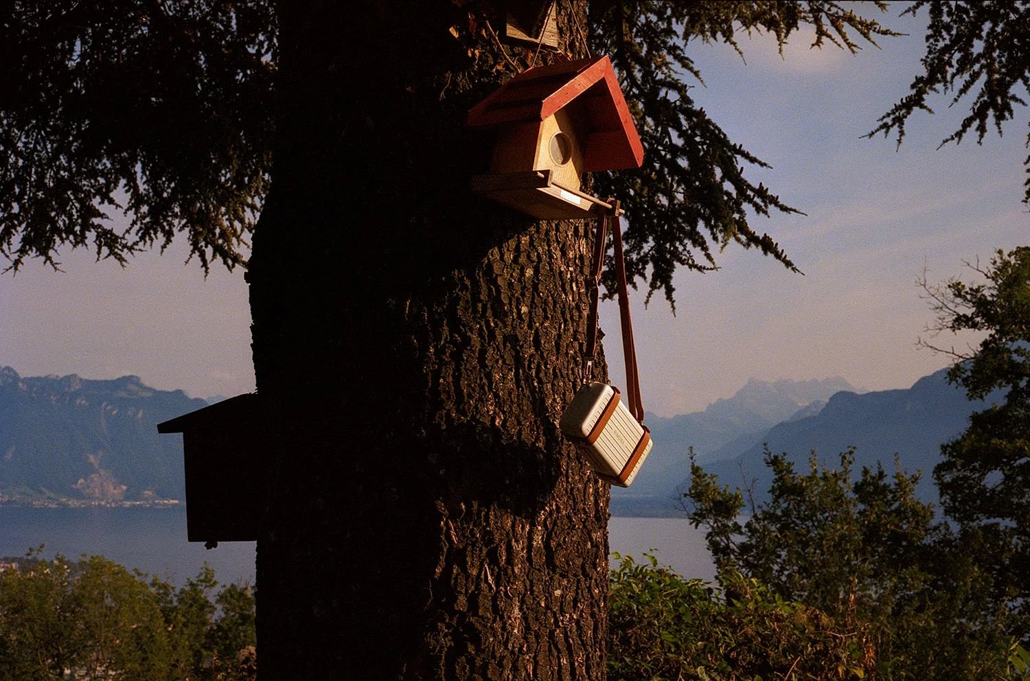 Roni Ahn - An Intrinsic Female Gaze — WÜL Magazine