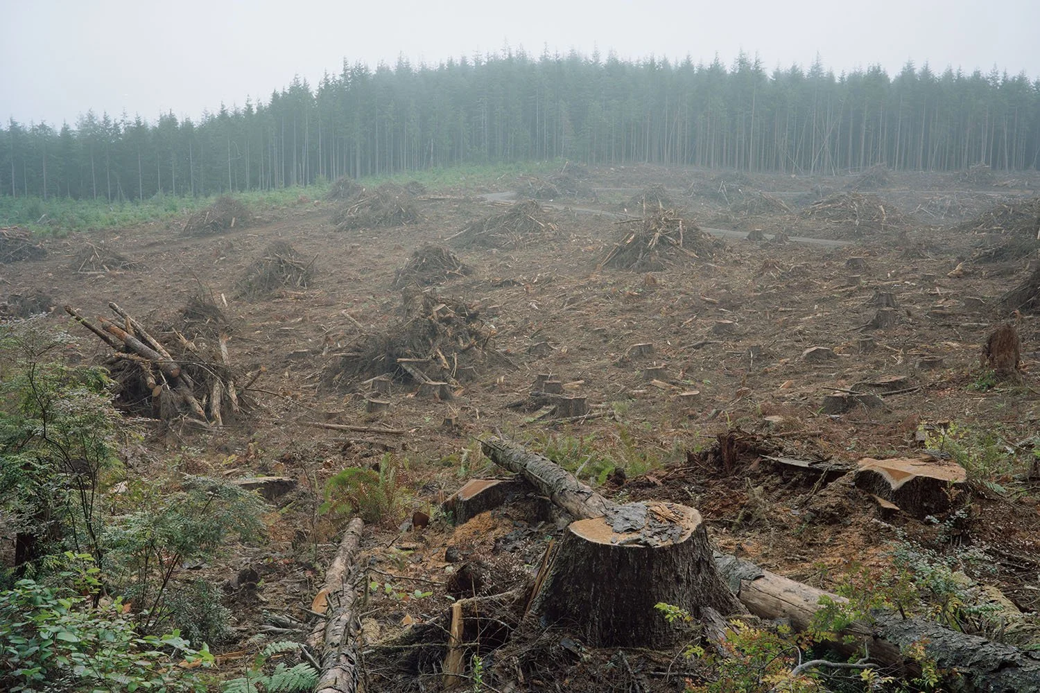 Interview with Eric Ruby — WÜL Magazine