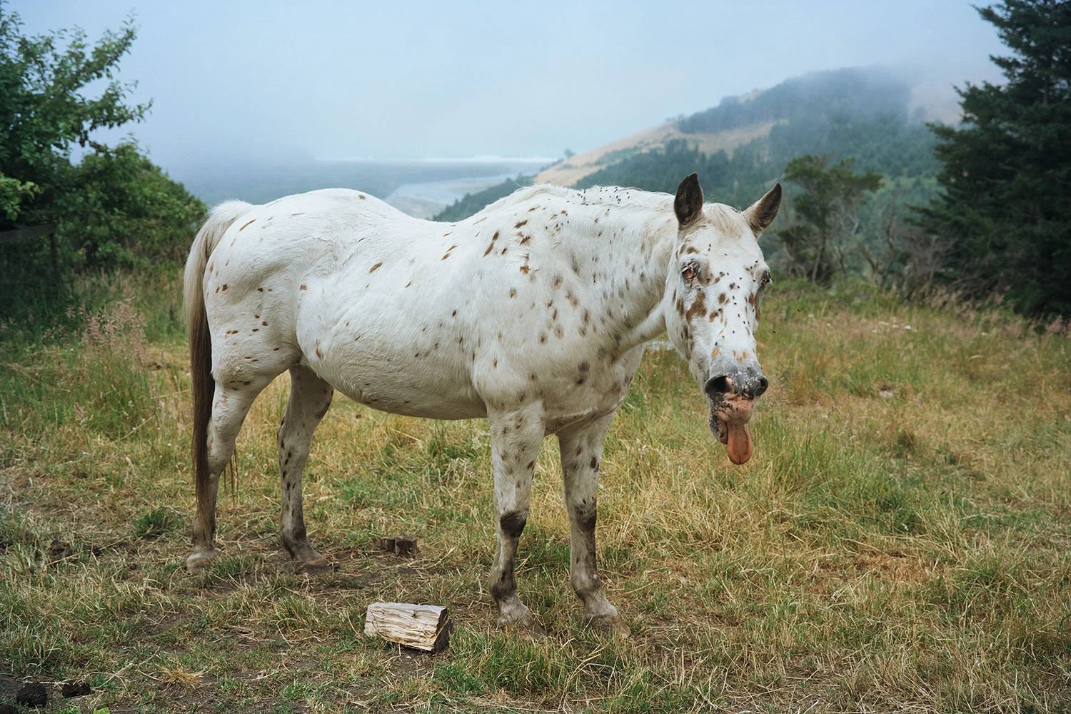 Interview with Eric Ruby — WÜL Magazine