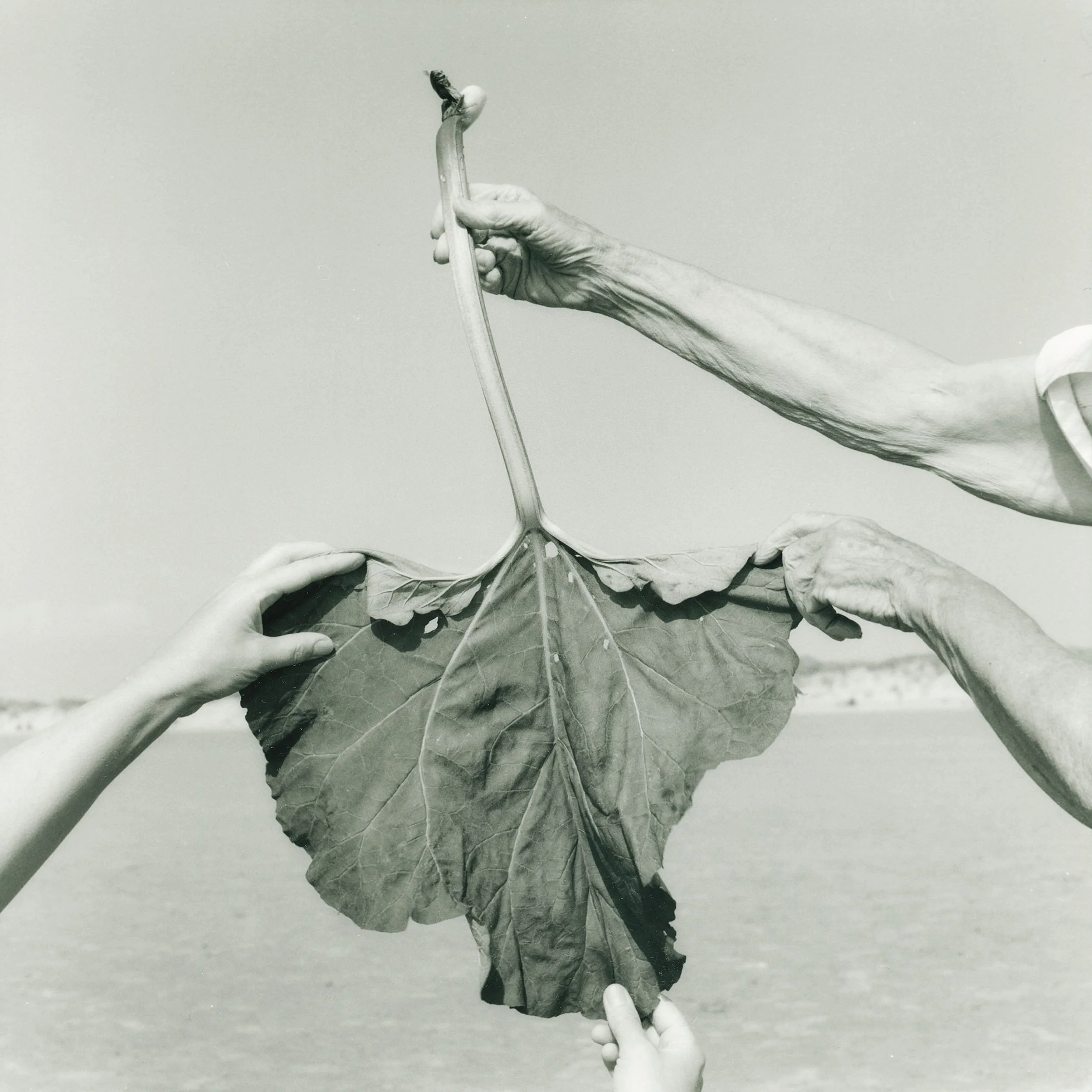 Ellen Stewart - How You’d Choose Your Colour Pallet — WÜL Magazine