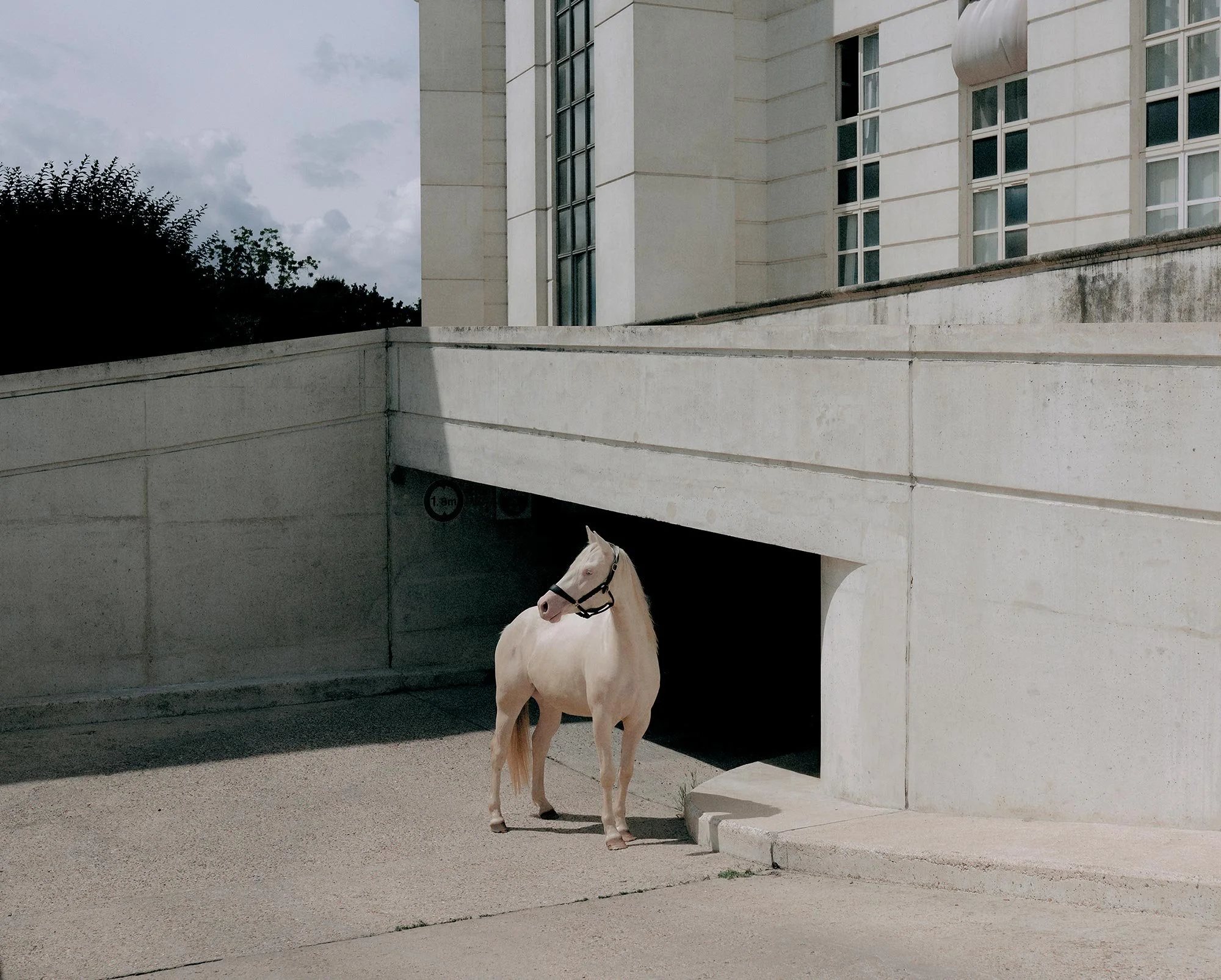 Interview with Anne Piqué — WÜL Magazine