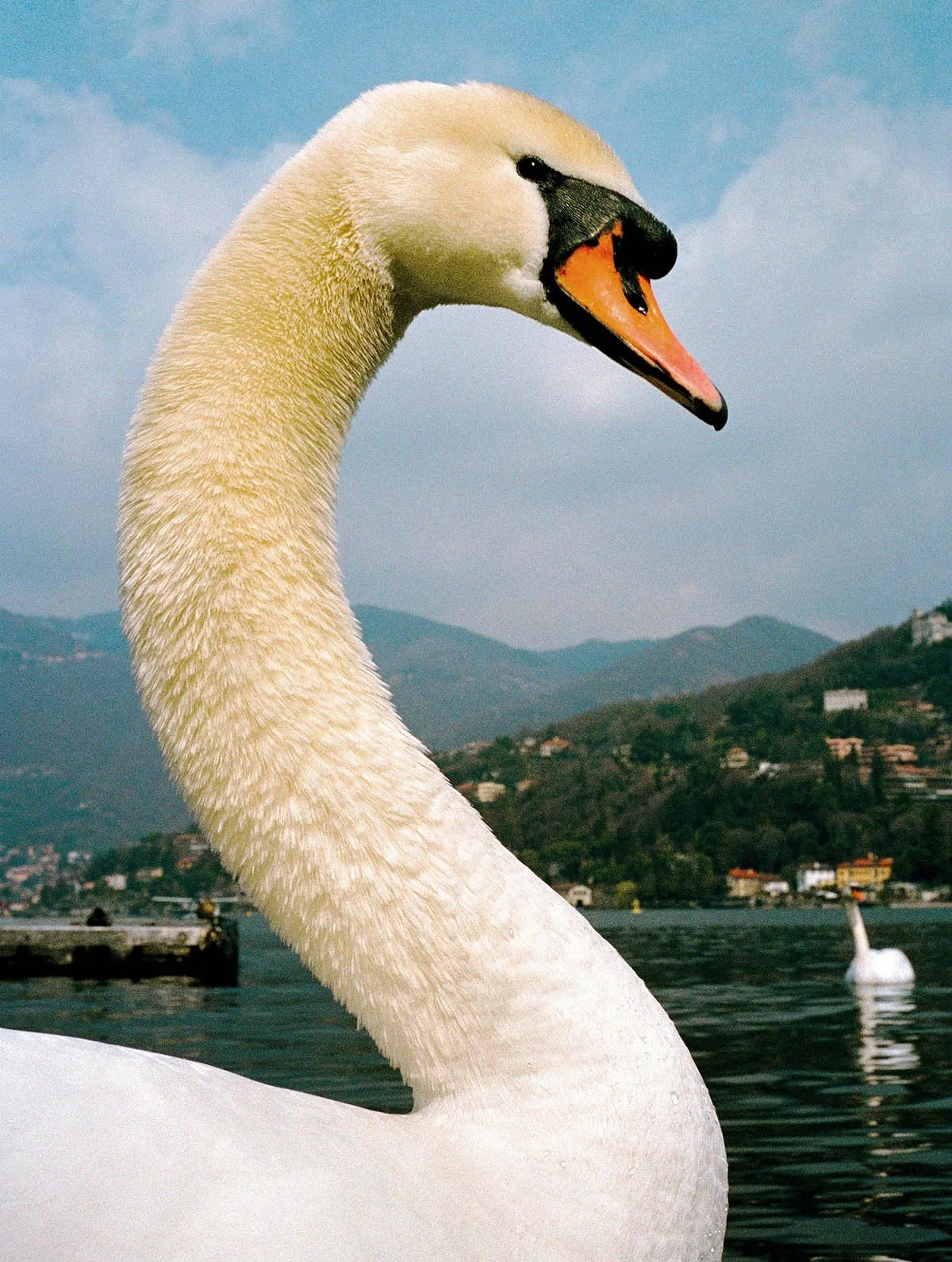 Leonardo Scotti - I Belong to the Mountains — WÜL Magazine