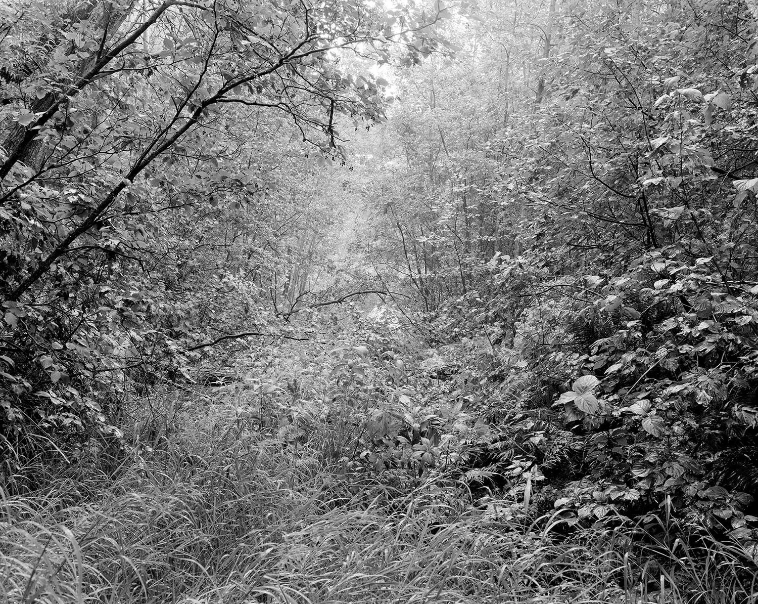 Interview with Alice Cloutier-Lachance — WÜL Magazine