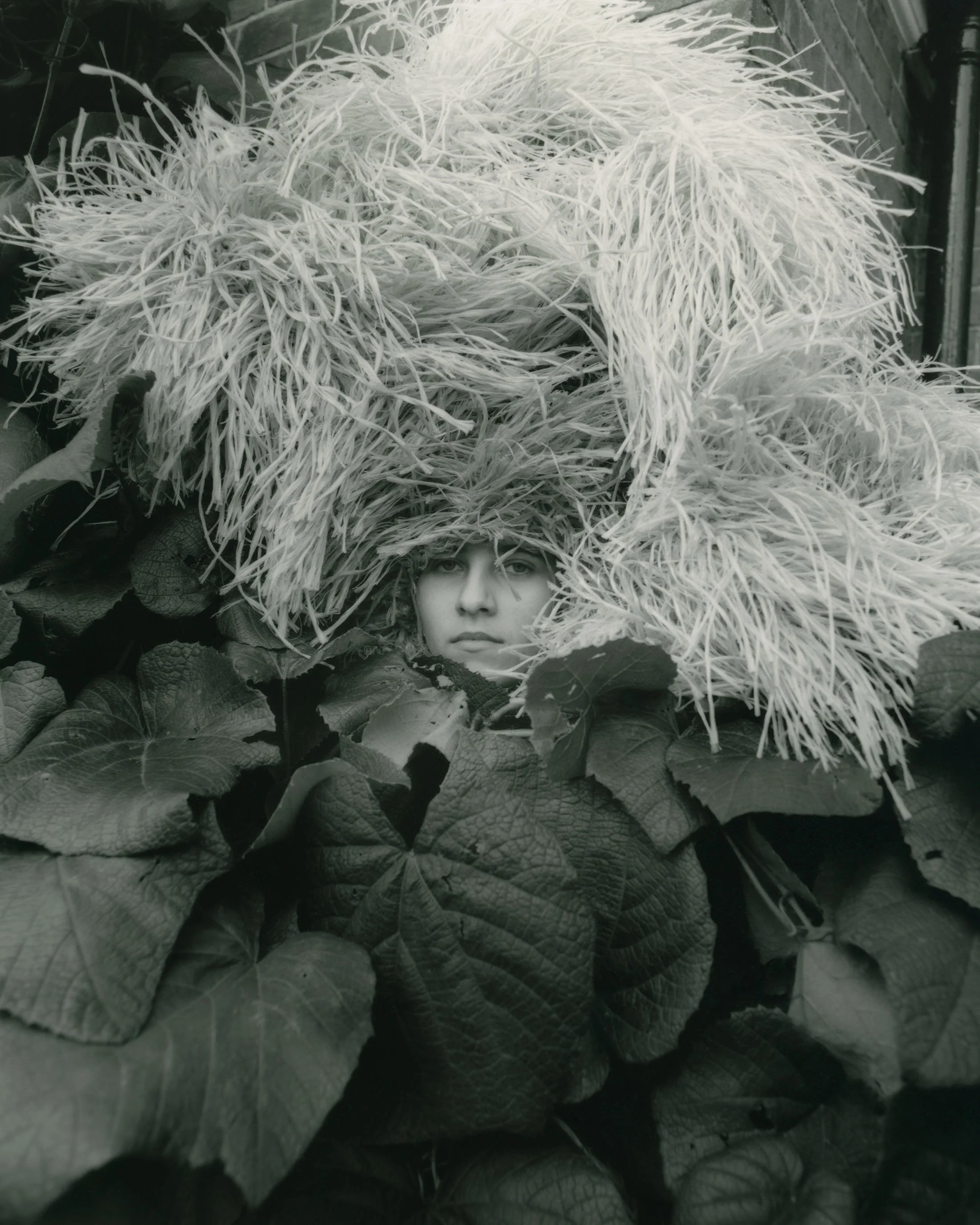 The Tall Tale by Ellen Stewart — WÜL Magazine