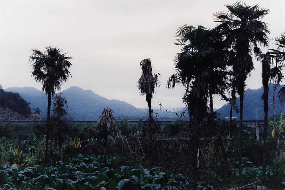 Homecoming by Greg Lin Jiajie — WÜL Magazine