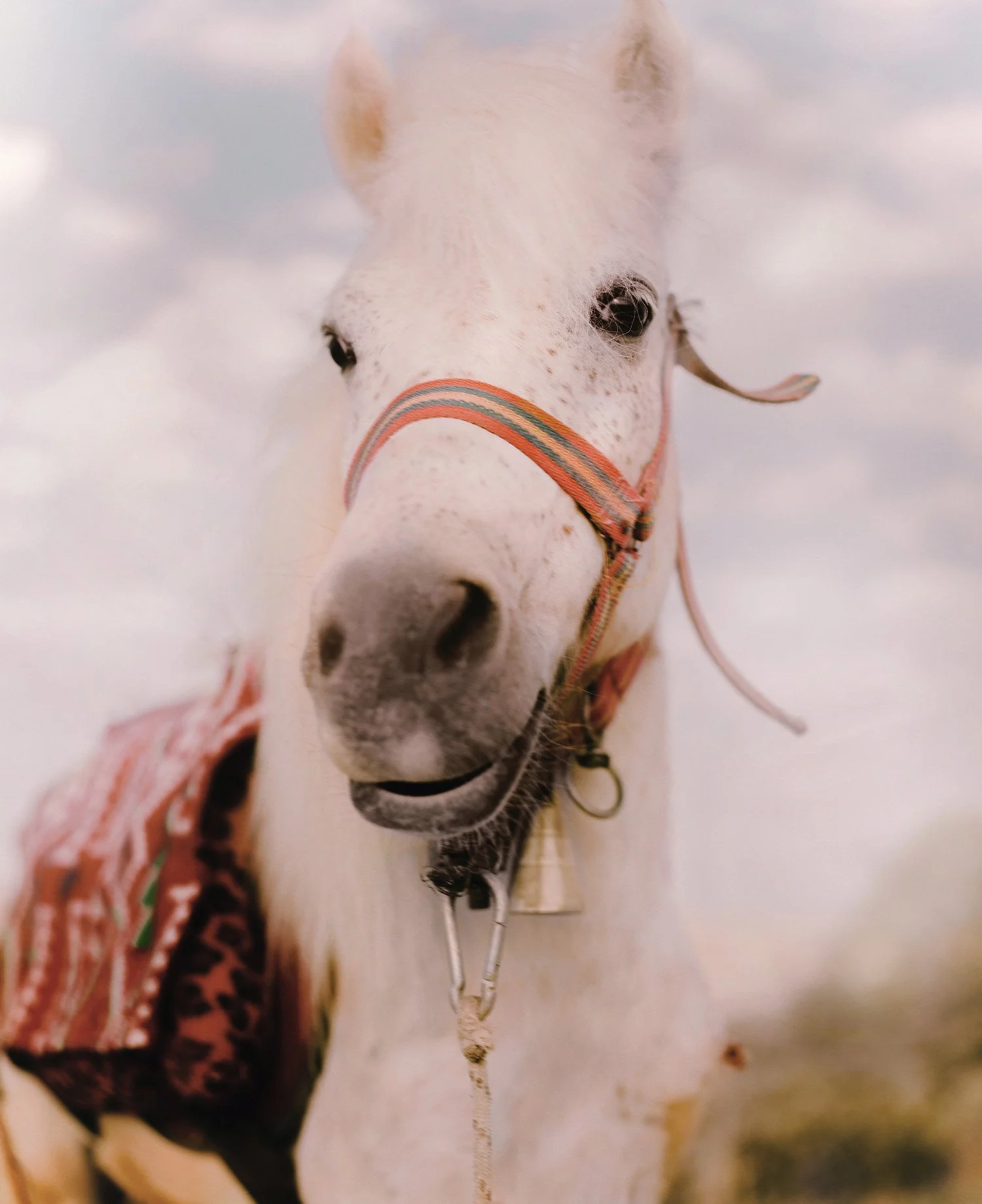 Interview with Ziyu Wang — WÜL Magazine