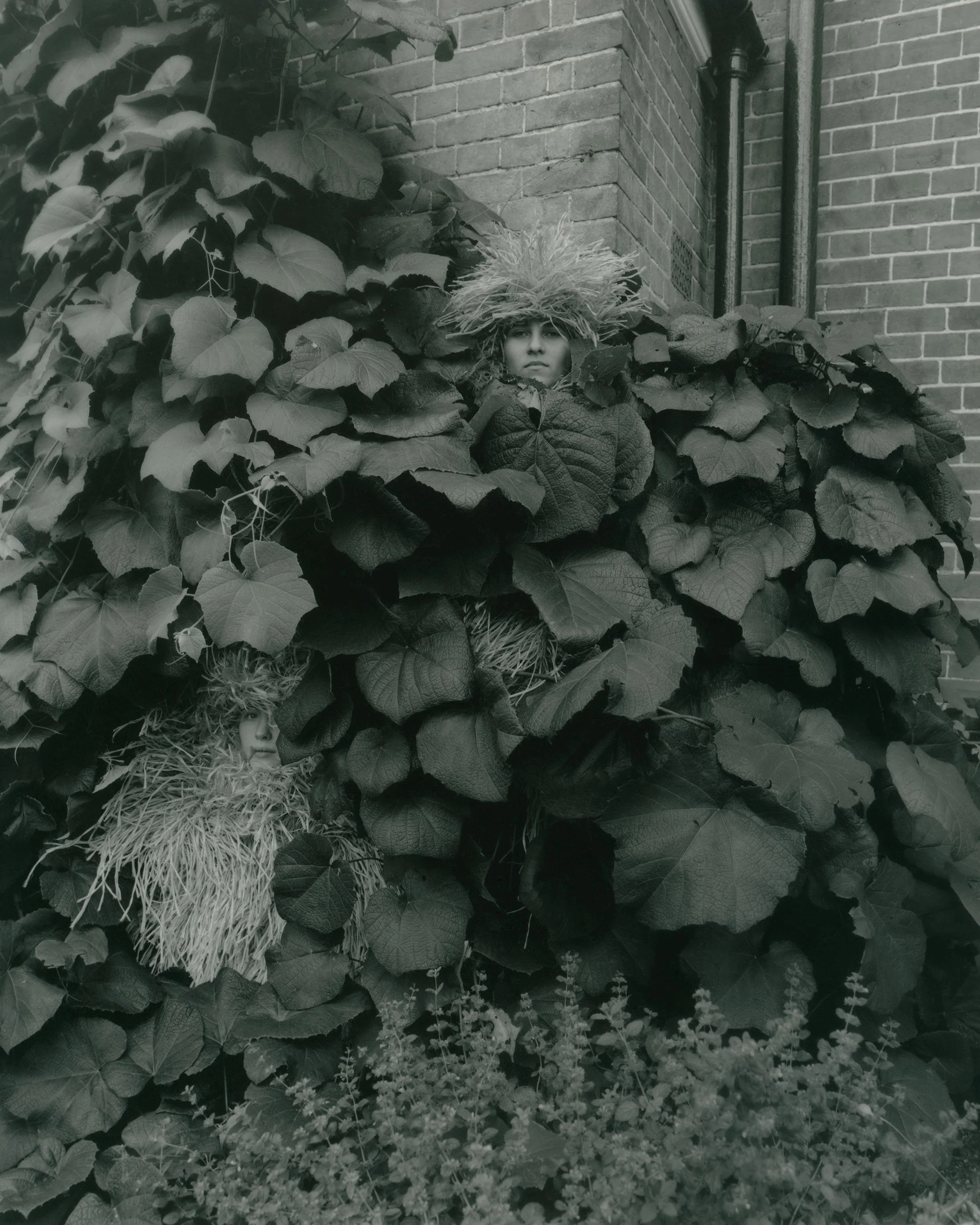 The Tall Tale by Ellen Stewart — WÜL Magazine