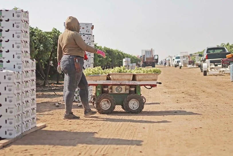 Understanding agricultural robots revolution : the alternative that ...