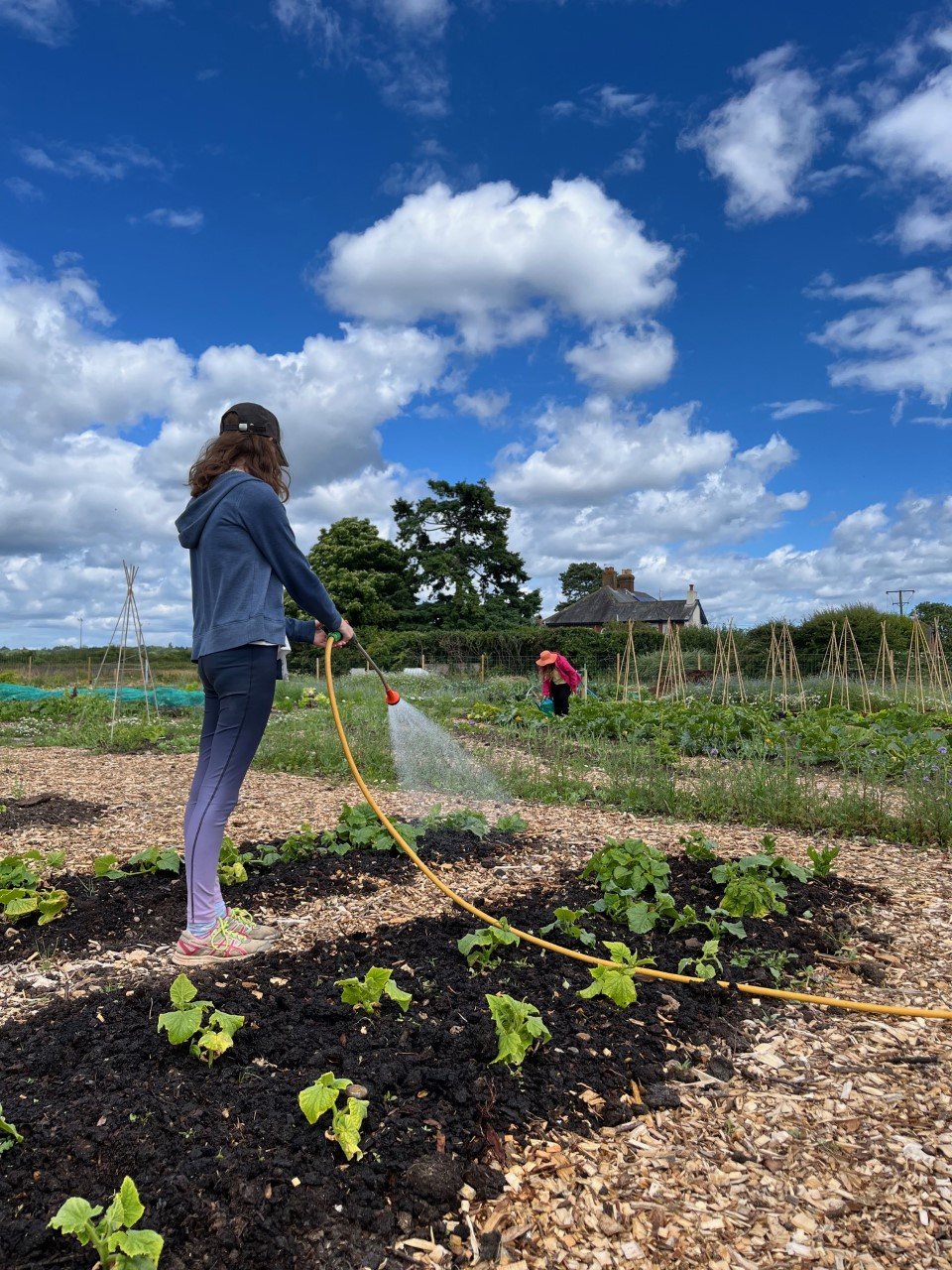 Four Acre Farm
