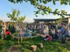Four Acre Farm
