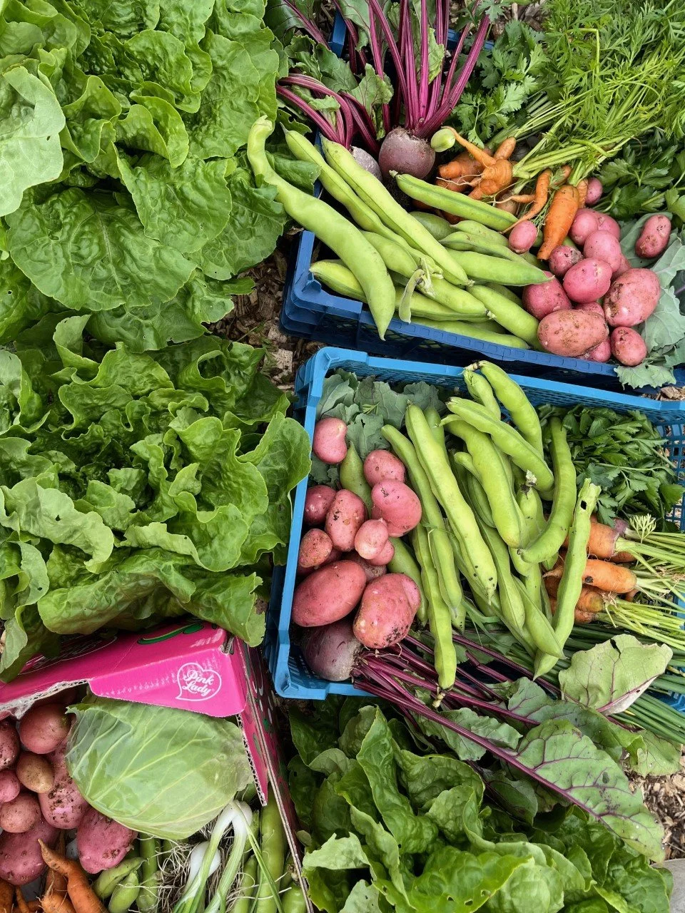 Four Acre Farm