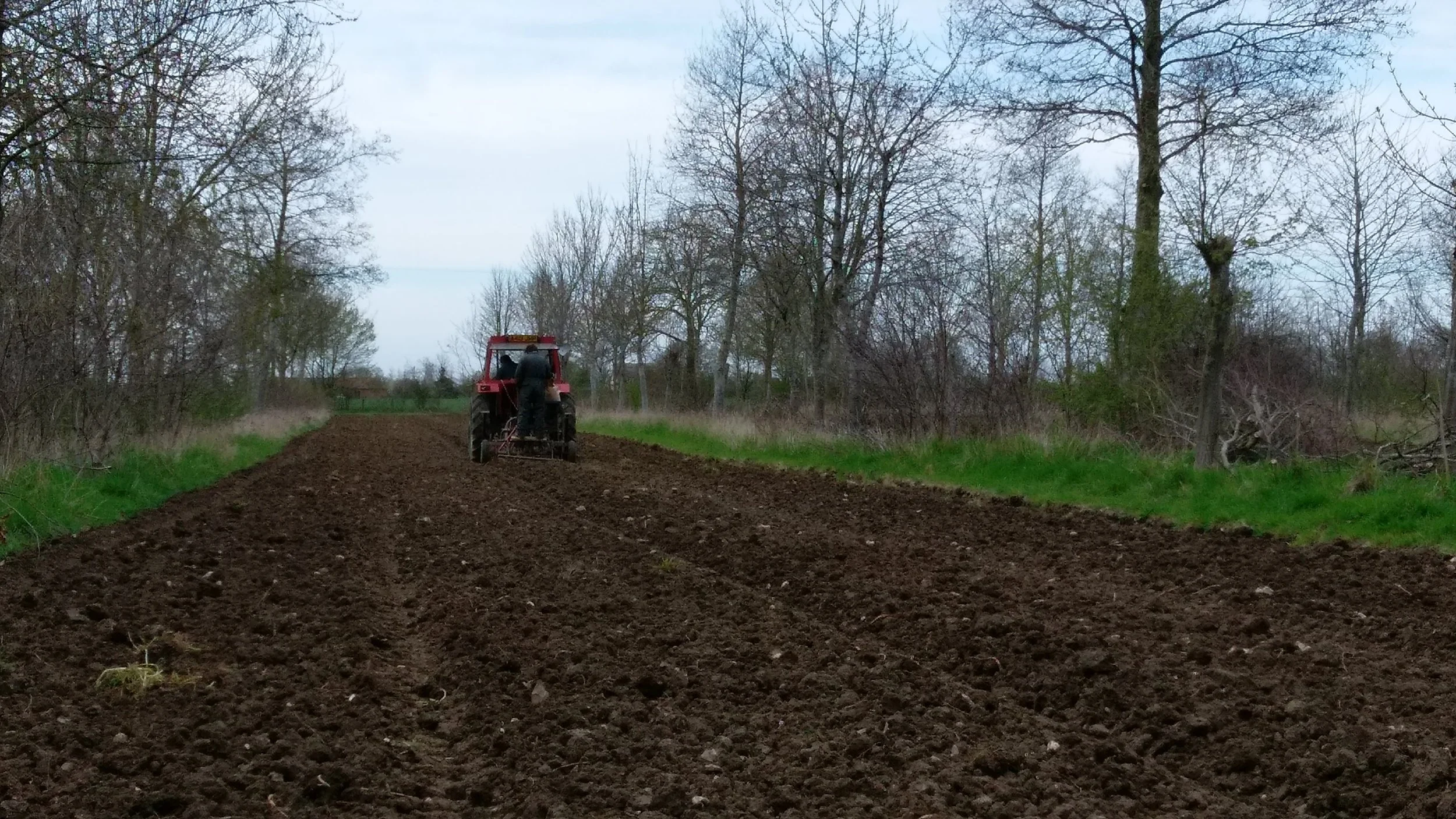 What is silvoarable agroforestry — Irish Agroforestry Forum
