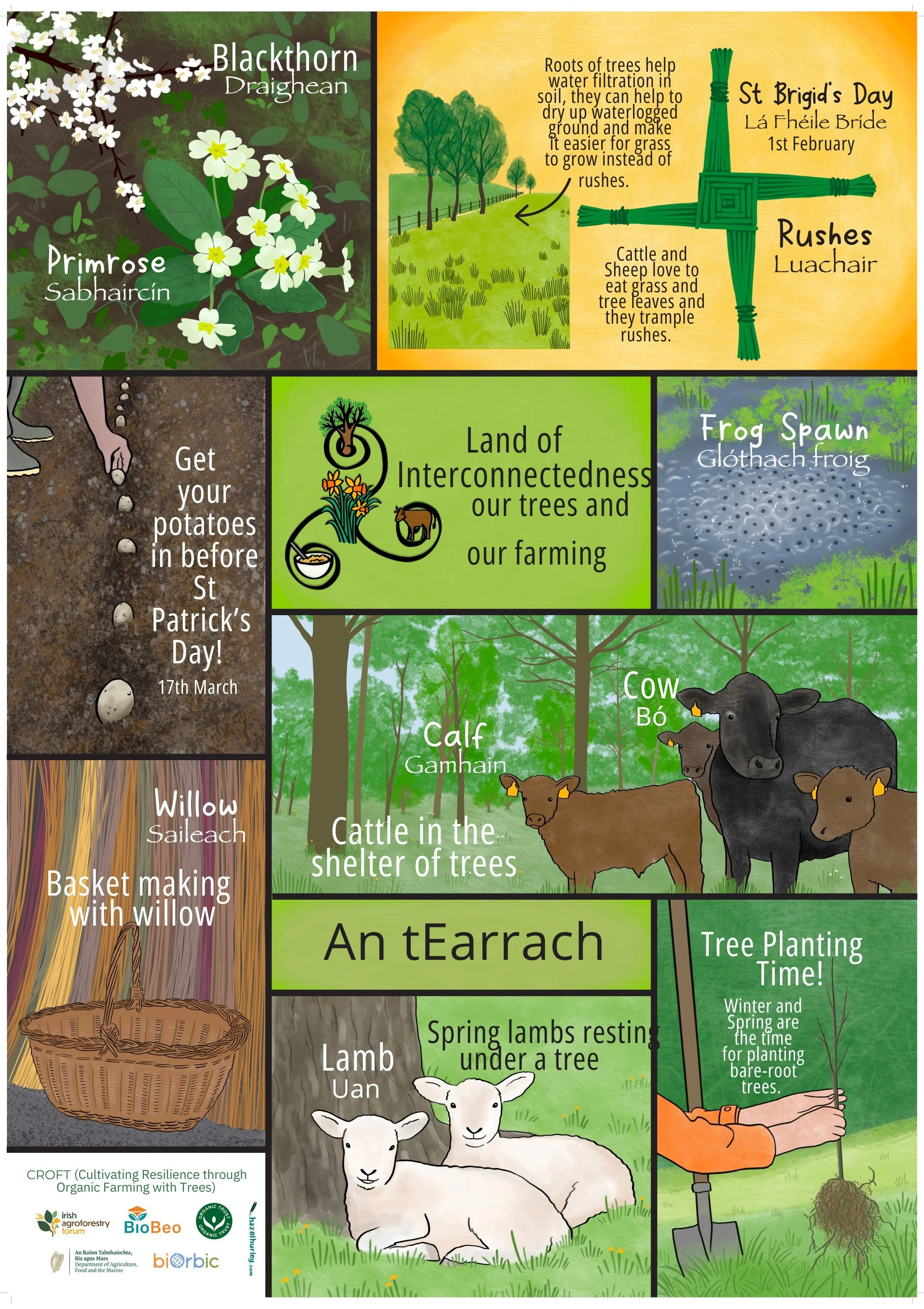 News — Irish Agroforestry Forum