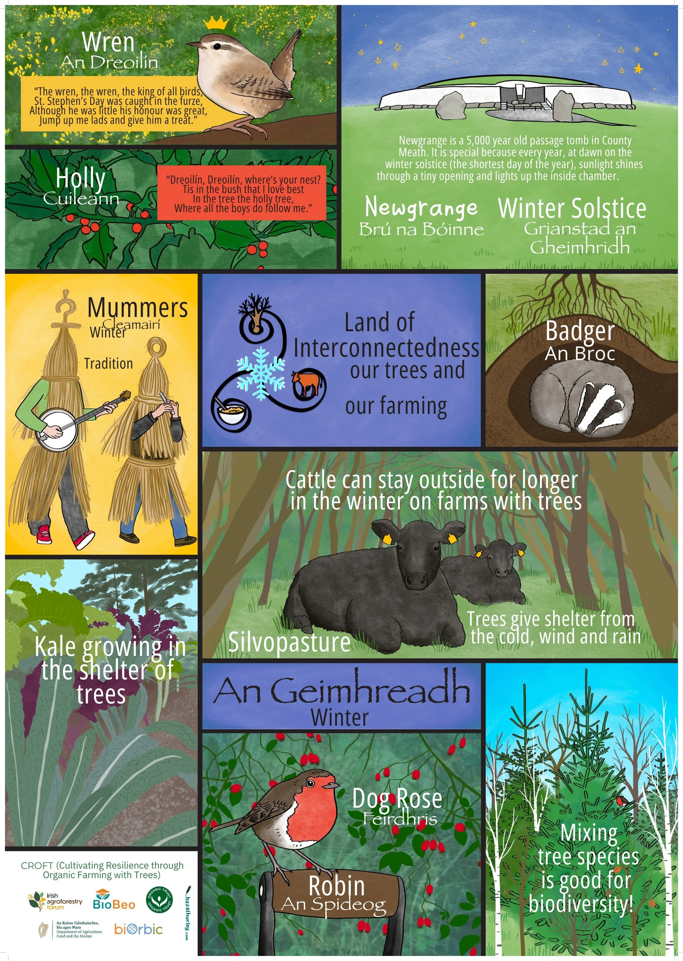 Primary School Resources — Irish Agroforestry Forum