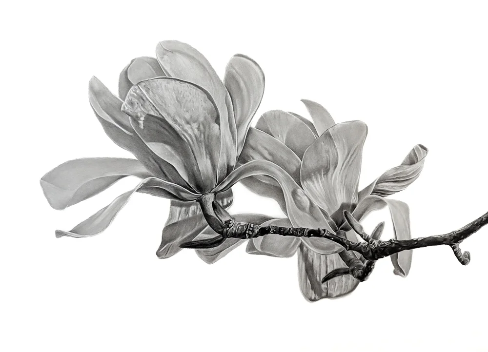 Sian Ellis Tillott - Selected Works