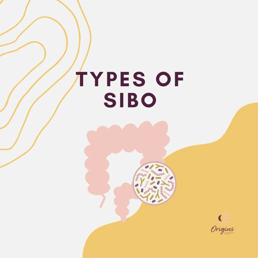 Unraveling the Differences Between Hydrogen and Methane SIBO Types ...