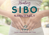 Empowering SIBO Recovery: The Vital Role of Binders Revealed — Origins ...