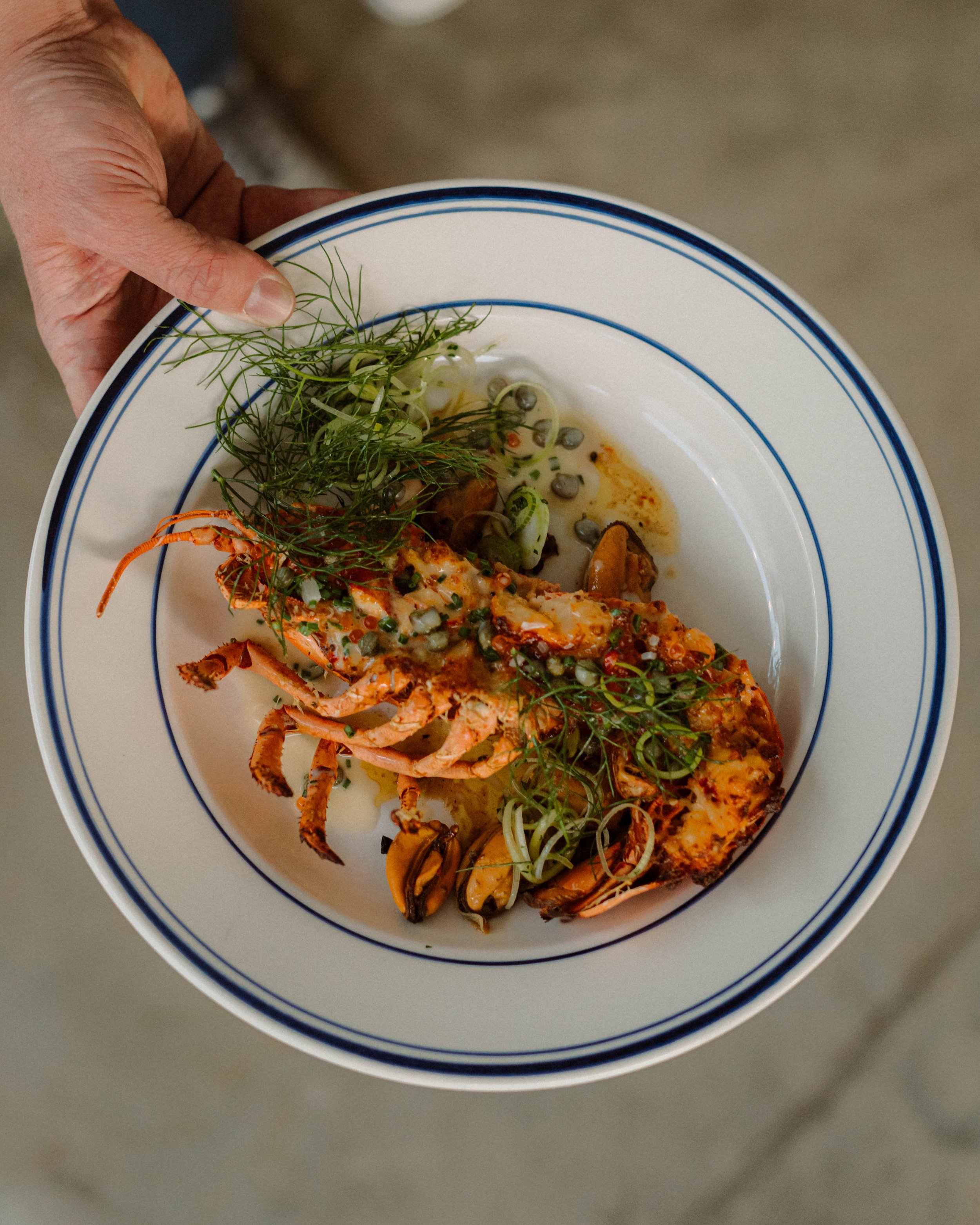 Sottise | Phoenix, Arizona | French Wine Bistro & Restaurant