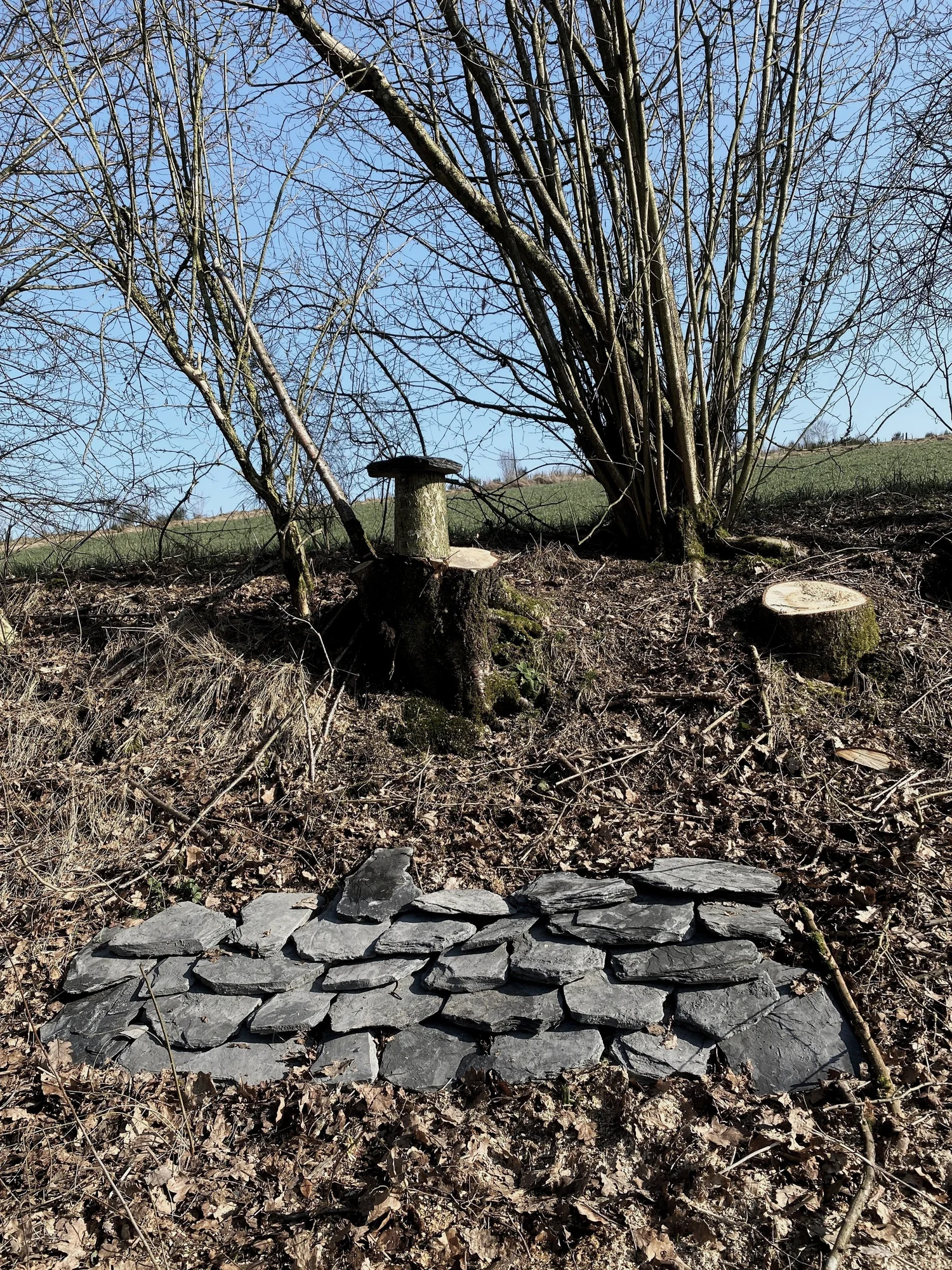 Dalles de schiste — Le Schiste de Martelange