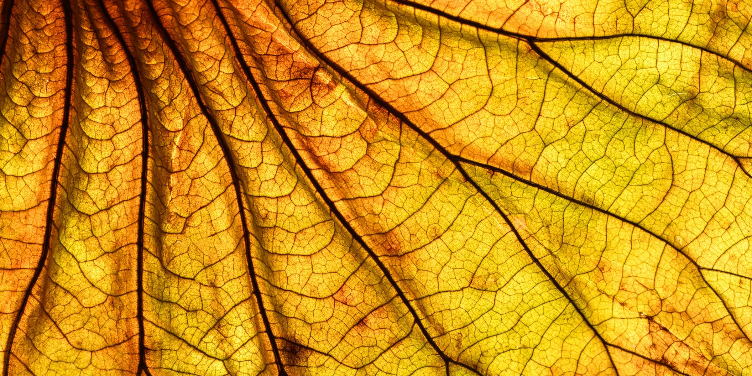 Our Products — Noveon Magnetics