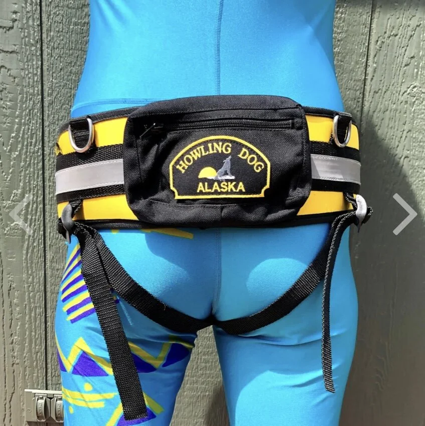 Harnesses — Jack and the Pack