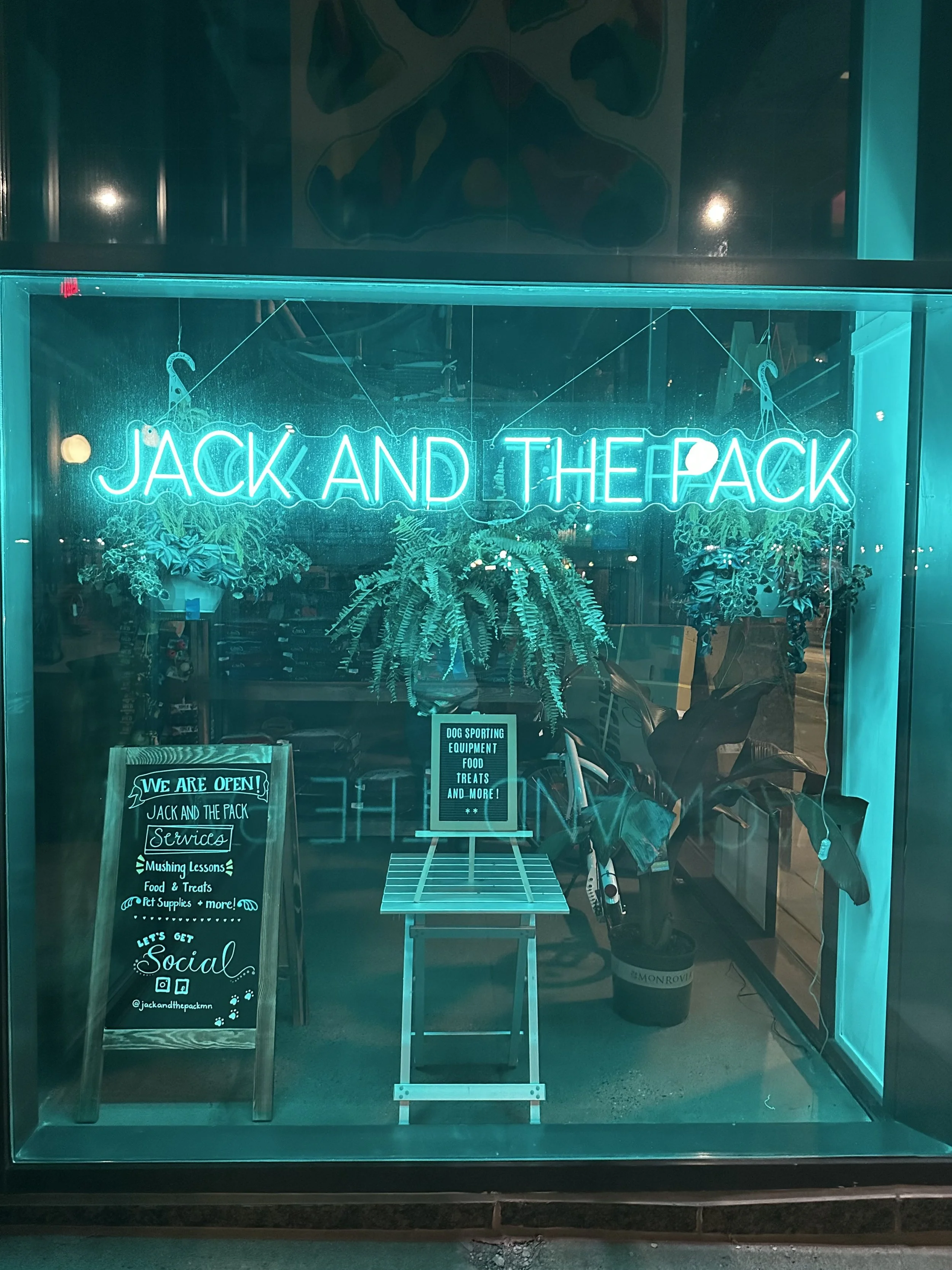 Harnesses — Jack and the Pack