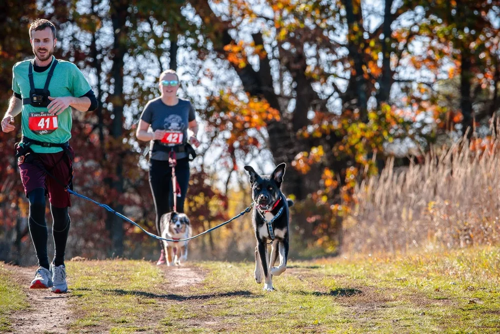 Jack and the Pack MN