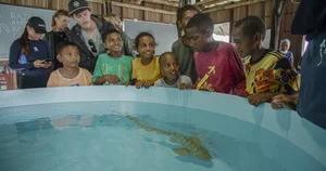 StAR Project — ReShark