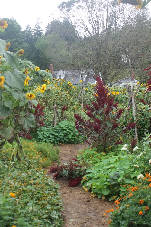Landscape Design Woodstock VT: Cultivating History & Resilience ...