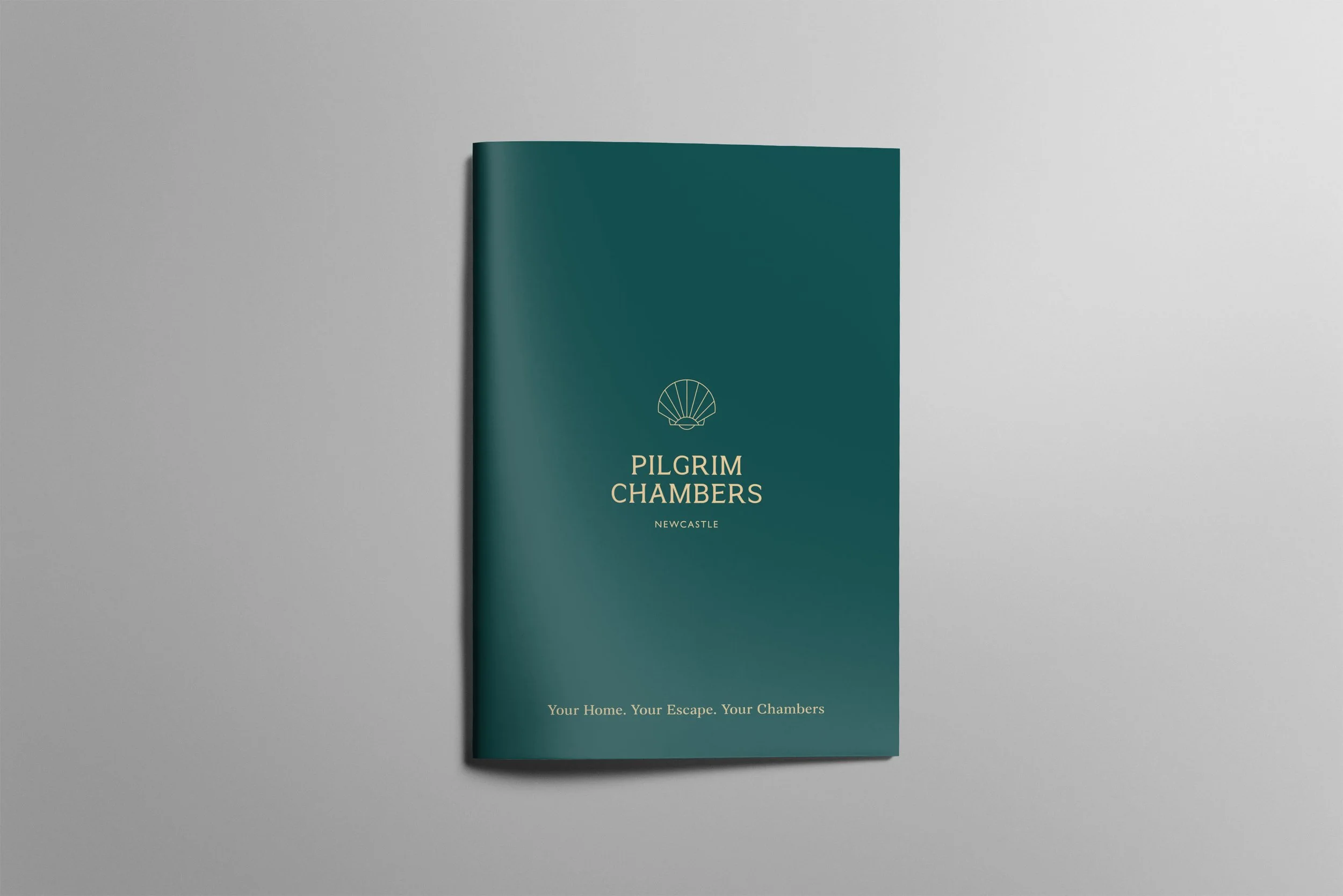 FRIENDS OF MINE STUDIO