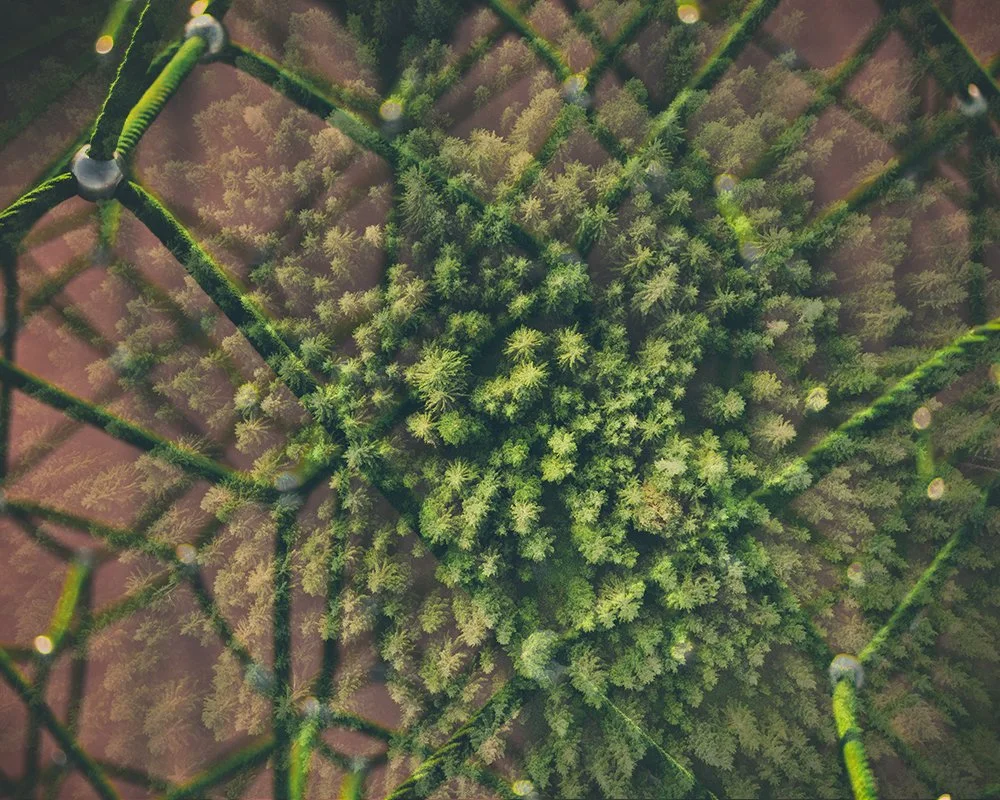 About Visionstate — Visionstate Inc.