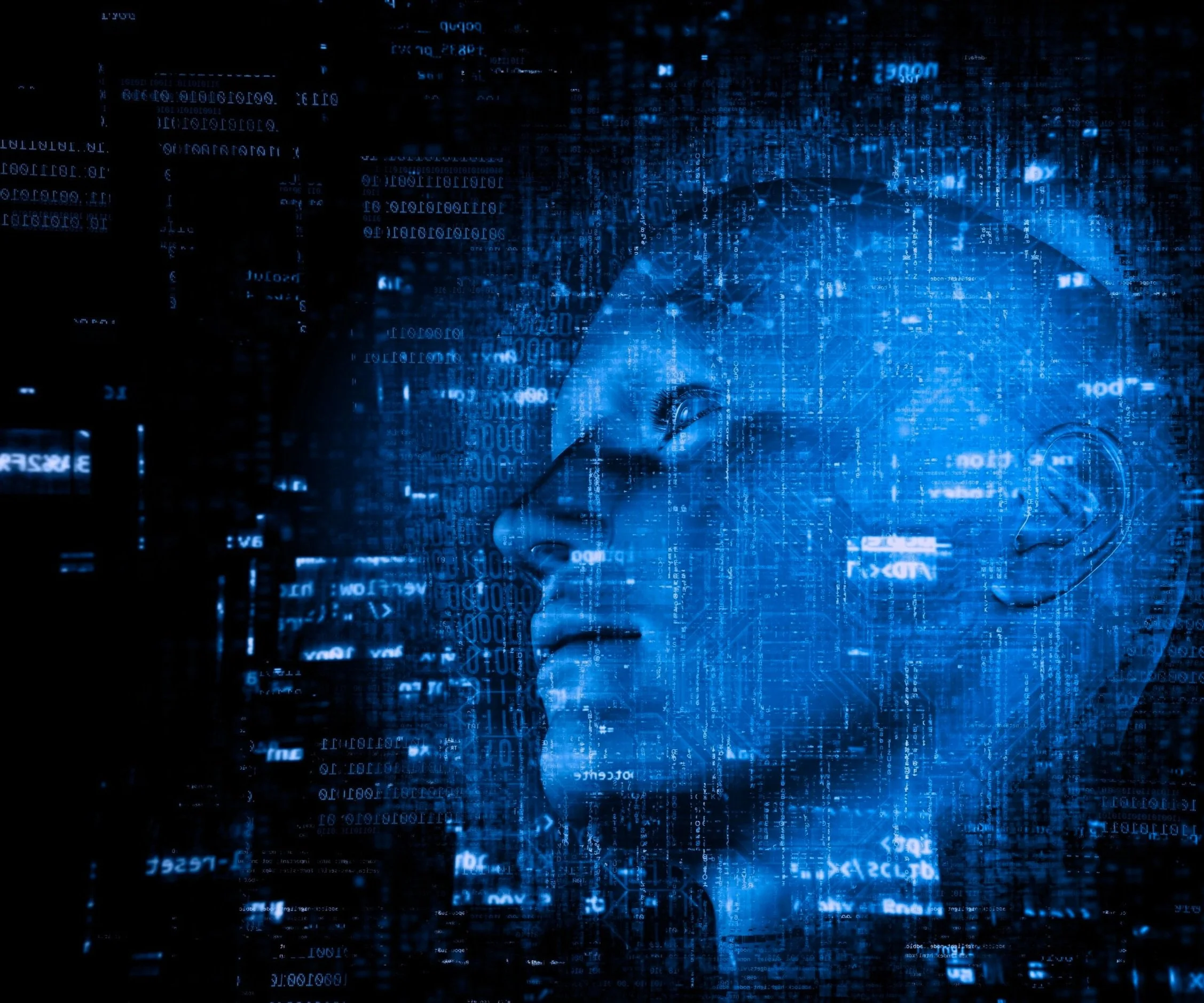 Wanda™️ Family of Products — Visionstate Inc.