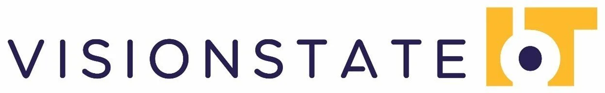 ViCCi 2.0 — Visionstate Inc.